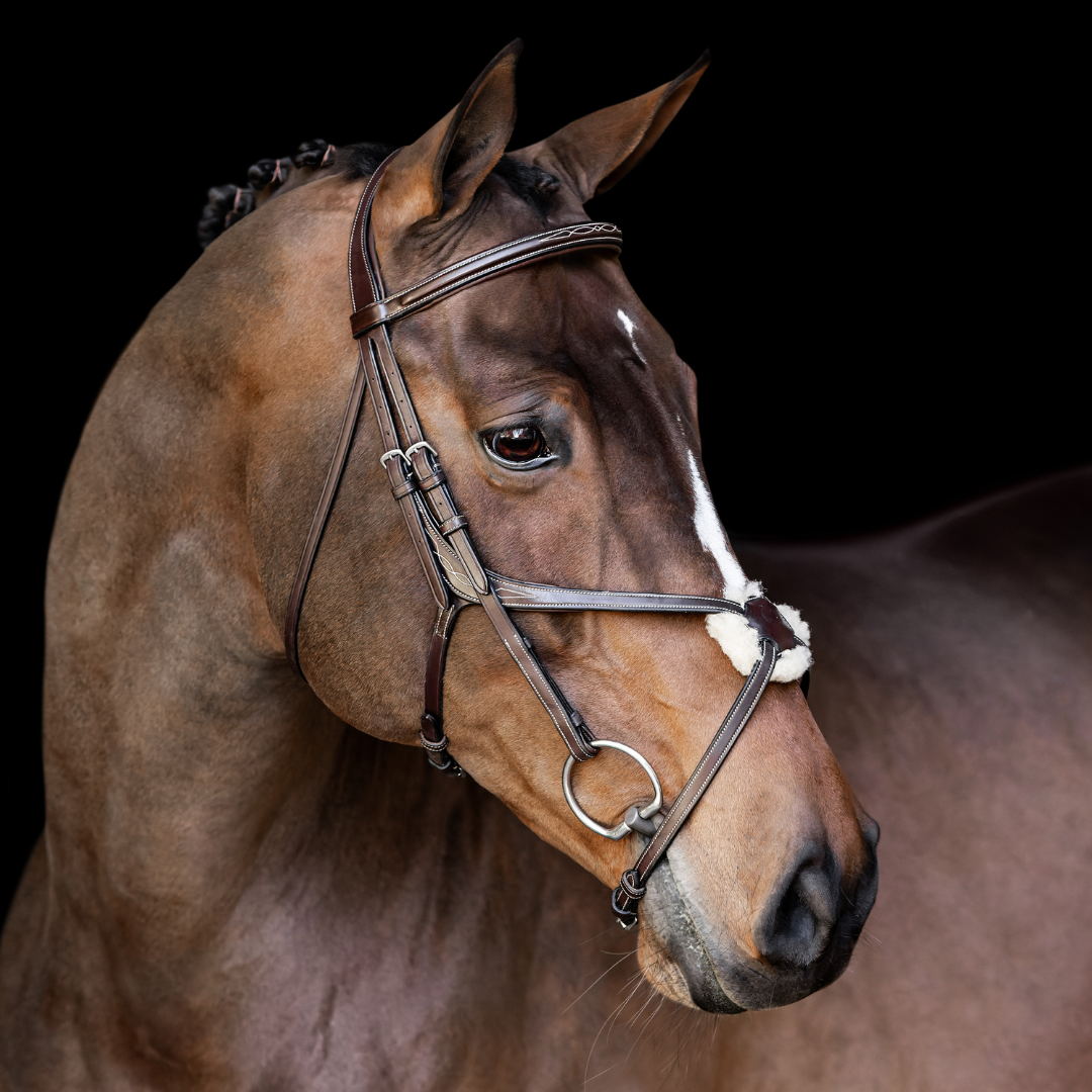 Athena Traditional Bridle – BridleFitters.com