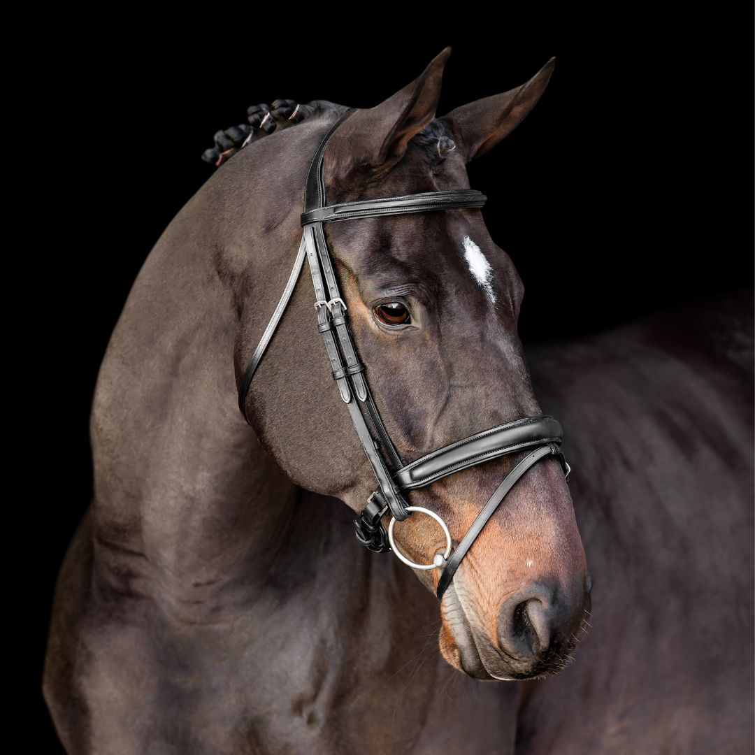 Elegance Traditional Bridle – BridleFitters.com