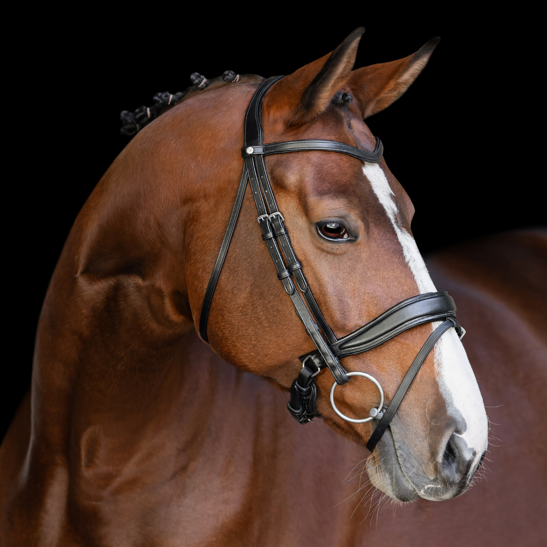 Infinity Traditional Bridle – BridleFitters.com