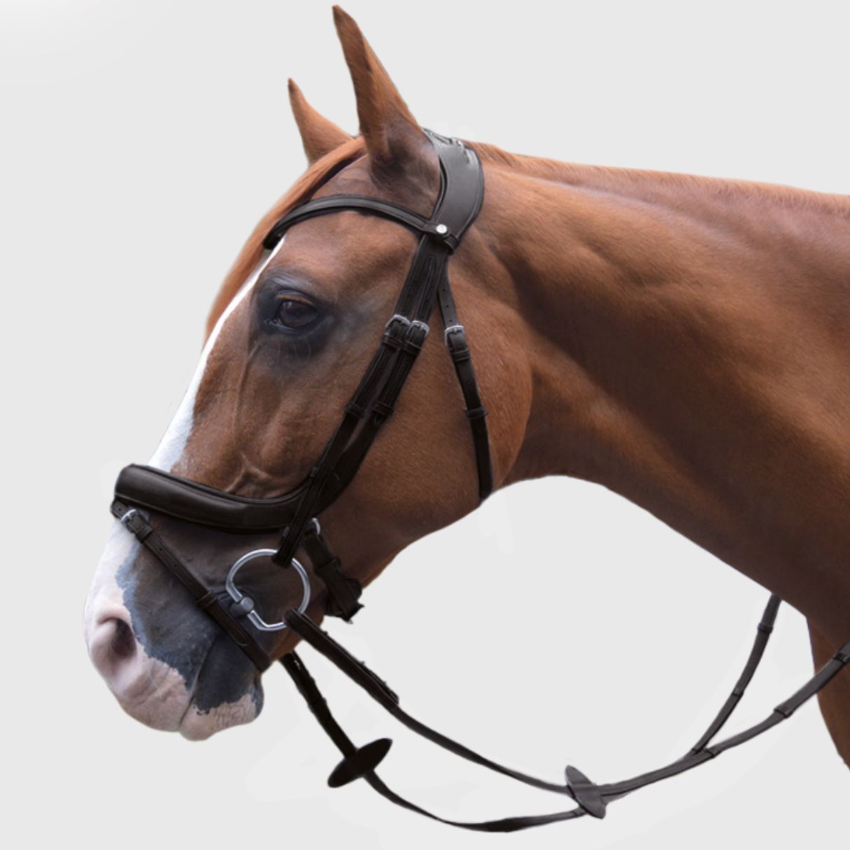 Advance Jumping Bridle – BridleFitters.com